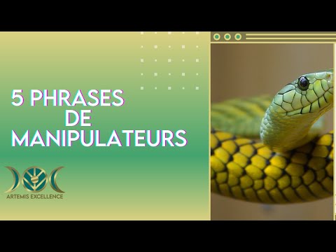 Les 5 phrases préférées des manipulateurs