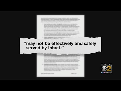 Report Critical Of DCFS Performance