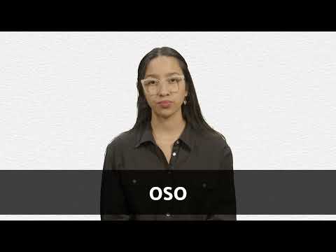 English Translation of “OSO” | Collins Spanish-English Dictionary