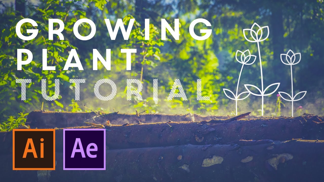Growing Plant Animation & Illustration - After Effects Tutorial