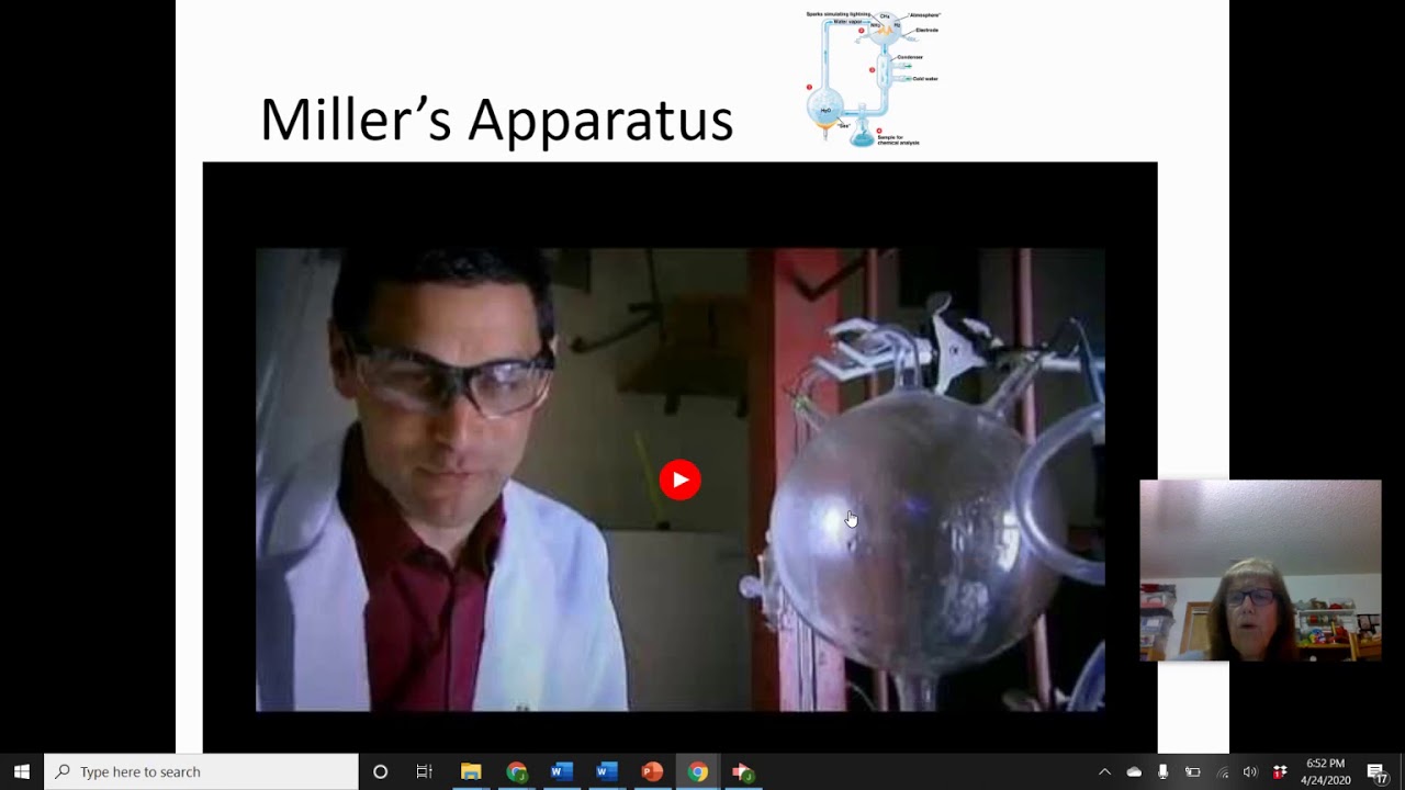 Macroevolution Part 2 Bio 100