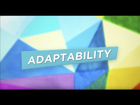 Adaptability Part 1: Change as an Opportunity