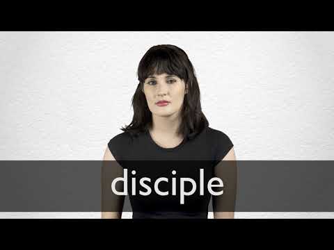 DISCIPLE definition and meaning | Collins English Dictionary