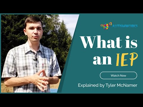 What is an IEP | Individualized Education Program in Autism Explained by Tyler McNamer