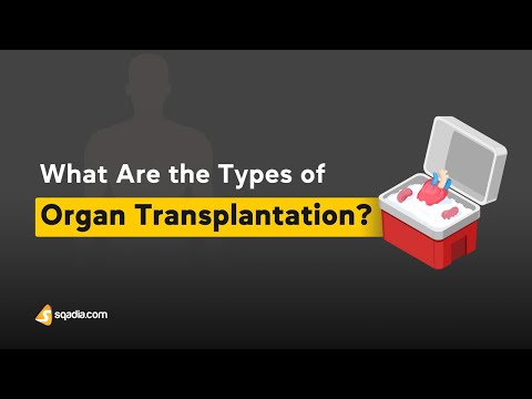 What are the types of Organ Transplantation? | Immunology Basics for Students