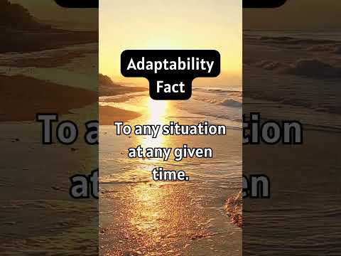 Adaptability is being able to adjust #shorts