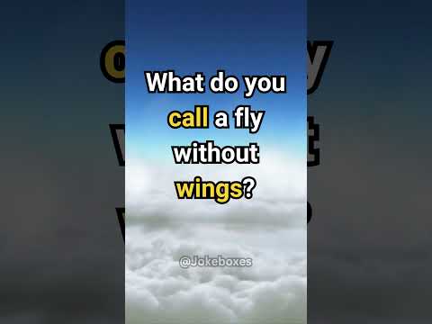 What do you call a fly without wings? | Joke #funny #jokes