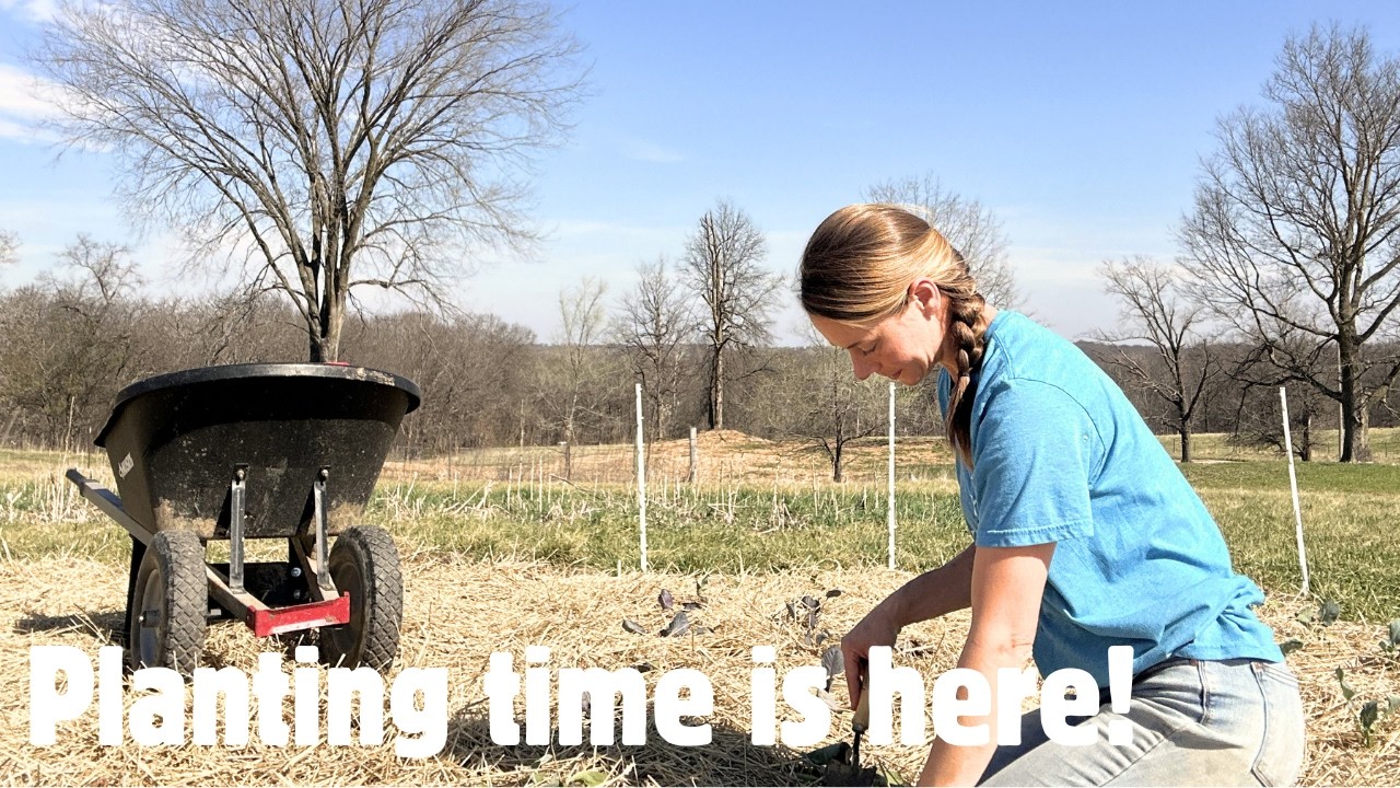 This is just the beginning || Growing 1 year's worth of vegetables!