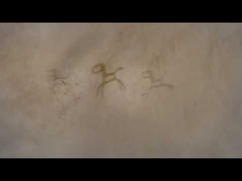Galloping Horse Production