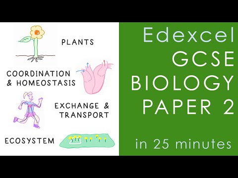 All of Edexcel BIOLOGY Paper 2 in 20 minutes - GCSE Science Revision