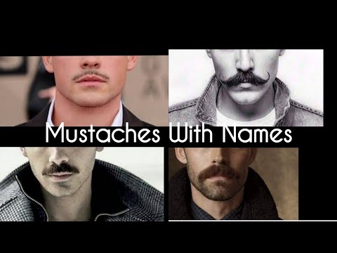 Types of Mustache with their names || Stylin' Net