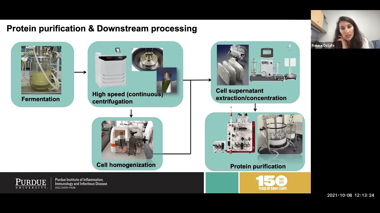Protein Engineering and Production