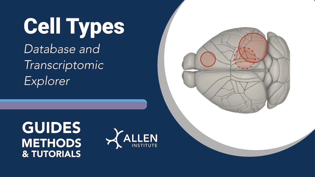 Cell Types Database & Transcriptomic Explorer | Tutorial