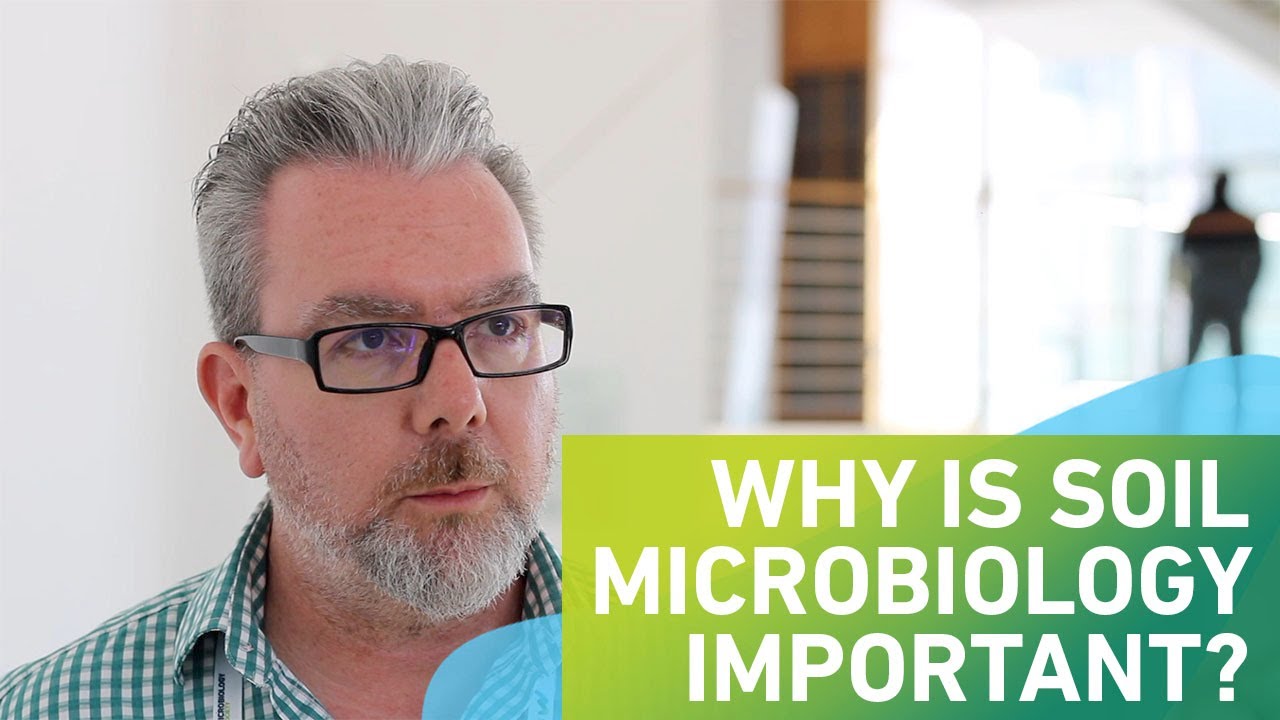 Why is soil microbiology important?