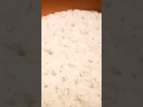 Adlai rice vs. regular rice