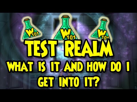 Wizard101: TEST REALM TUTORIAL🧐