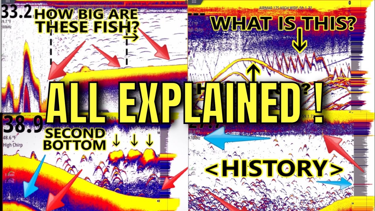 Sonar For Dummies! Fish Finder Explained. First 2 MINUTES may surprise you! New setup lessons added