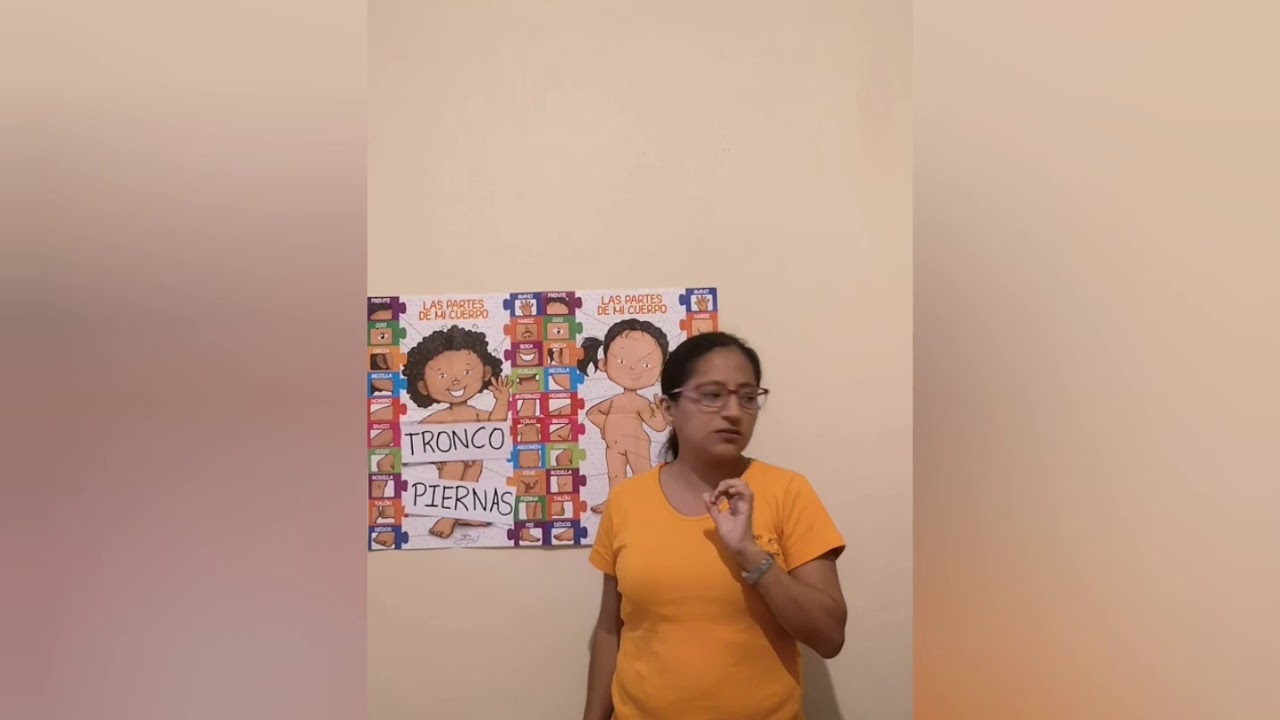 Clase #3 : Partes Gruesa del Cuerpo Humano