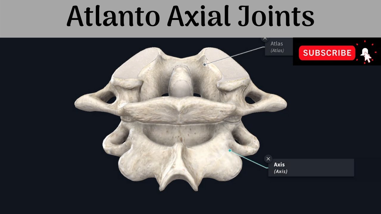 Atlanto - Axial Joints | Median & Lateral Joints | Articular surfaces  Ligaments| Movements| Muscles
