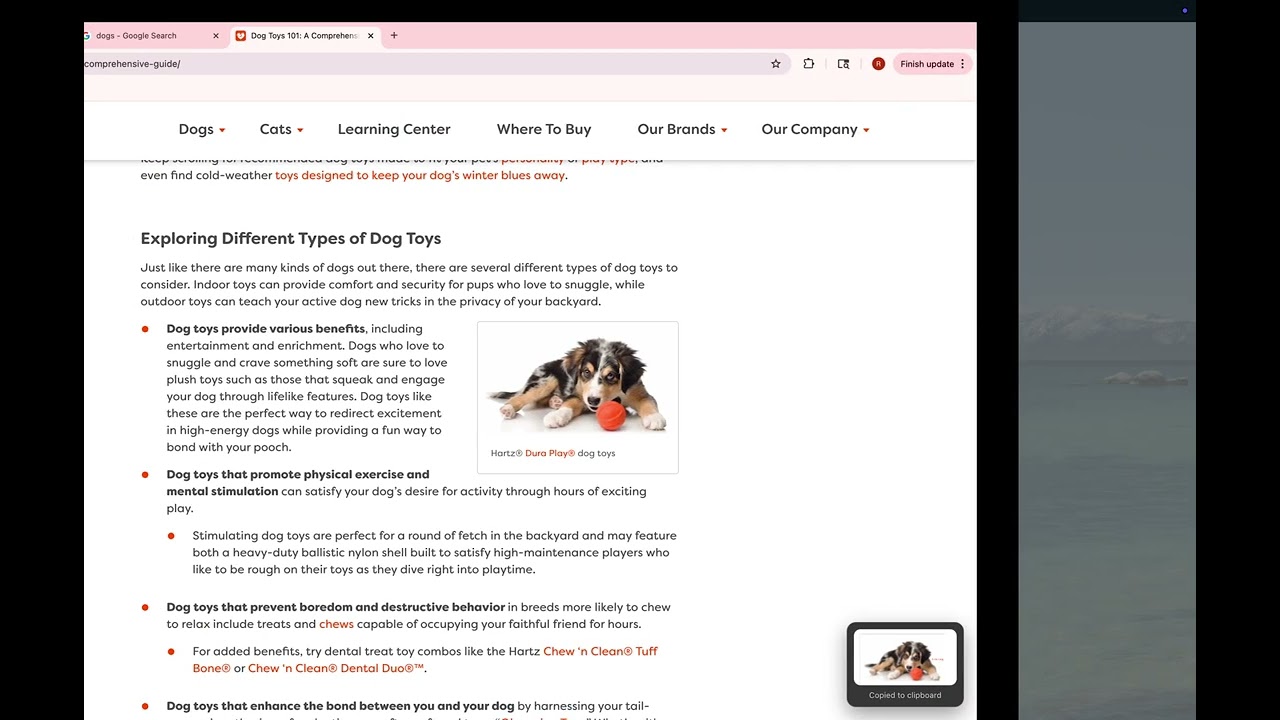 Try the Snip Chrome Extension