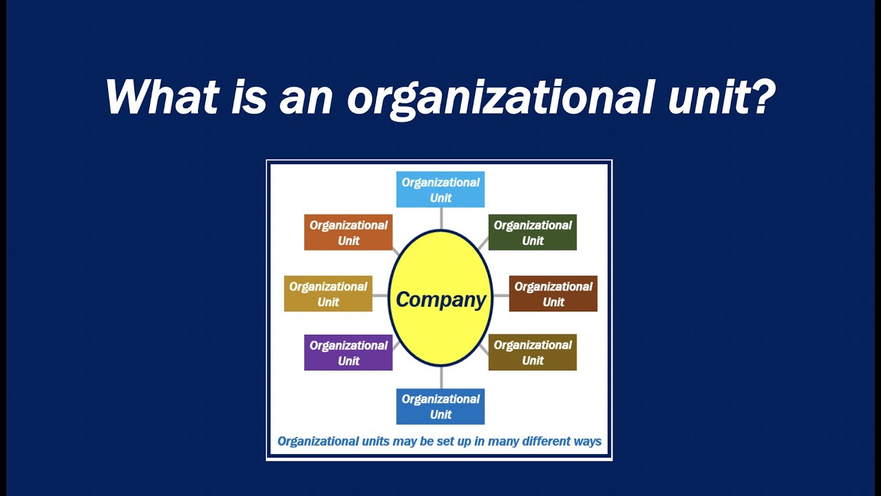 What is an organizational unit?