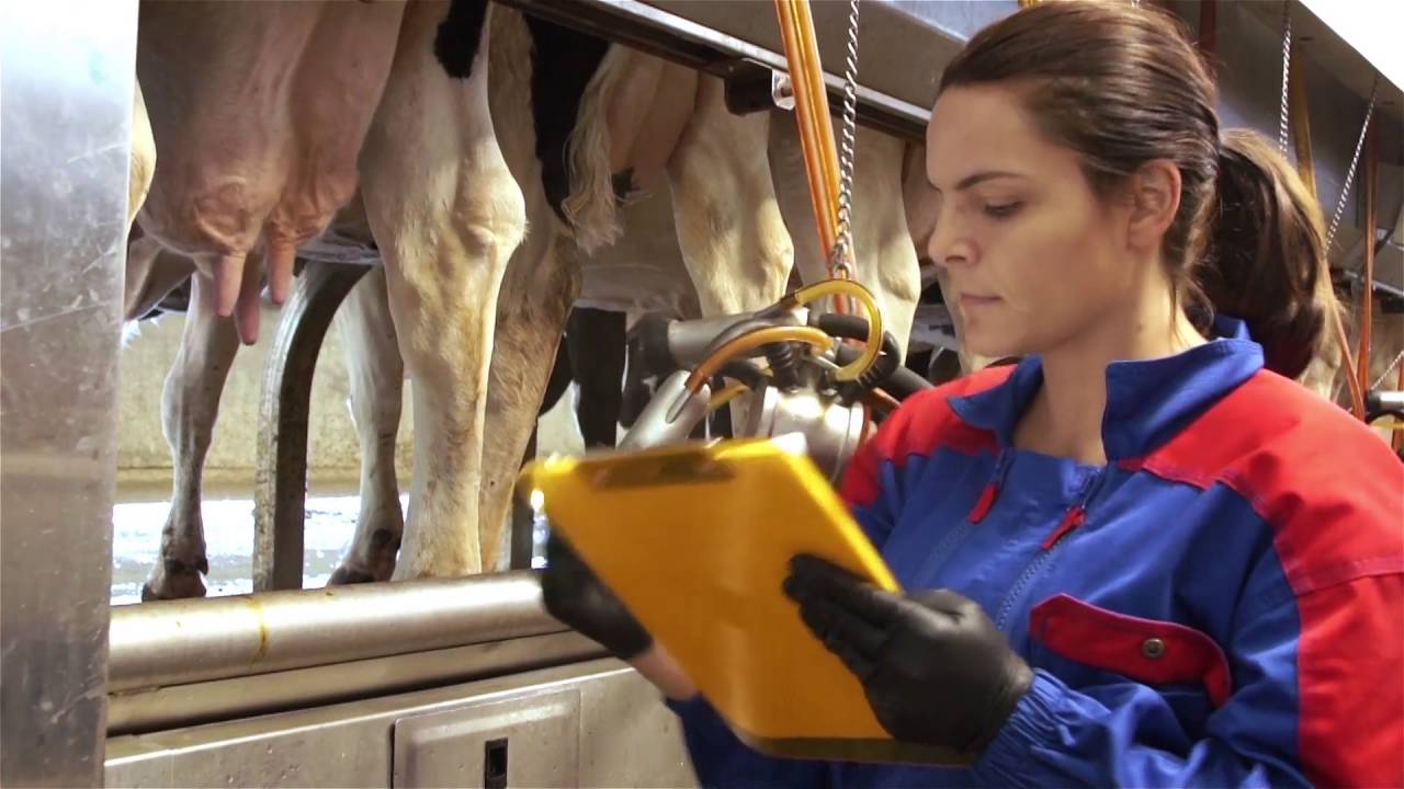 Do You Know How to Do Teat Scoring?