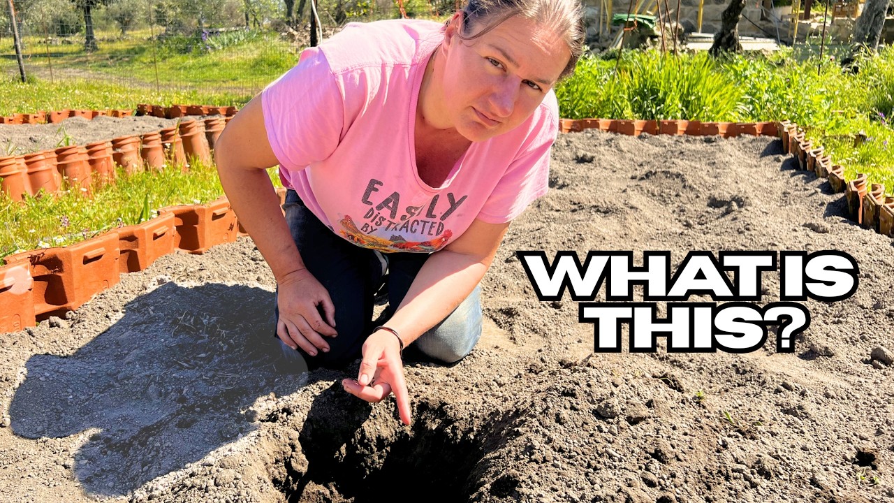 SOMETHING IS DIGGING OUR GARDEN | Off Grid Spring Problems