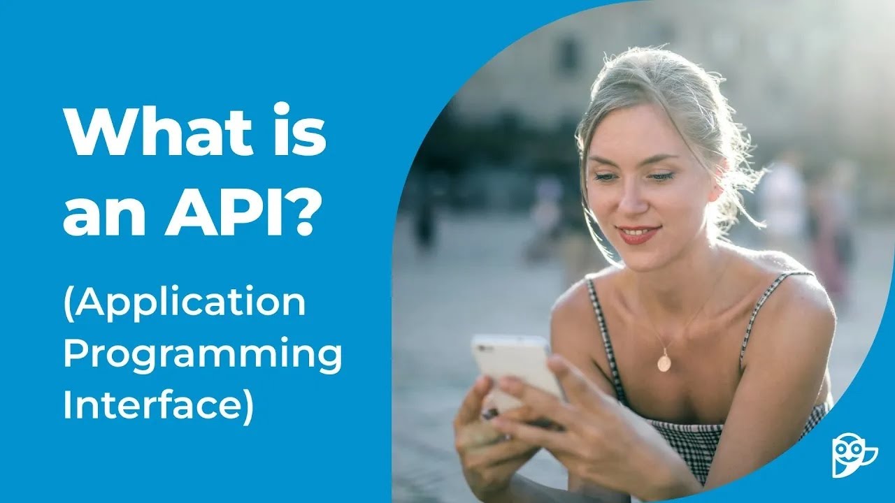 What is an API (Application Programming Interface)? | Smowltech