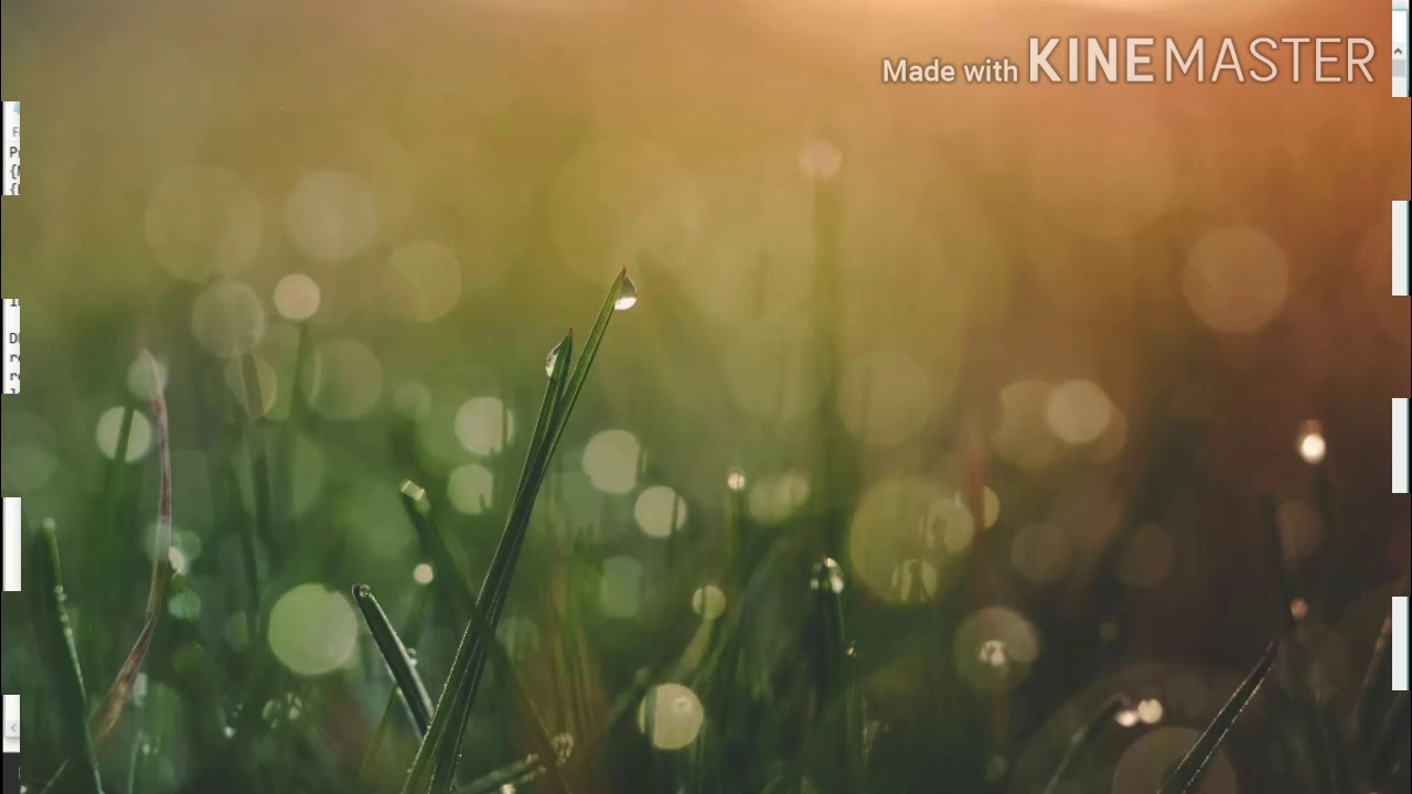 Prosedure dan Function