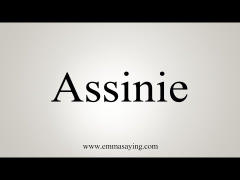 How To Say Assinie