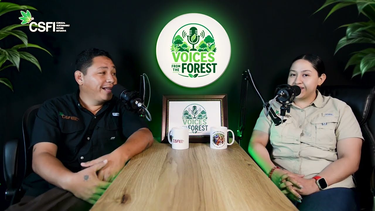 Prologue: Entering the Forest