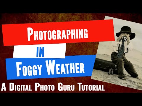 Photographing in Foggy Weather