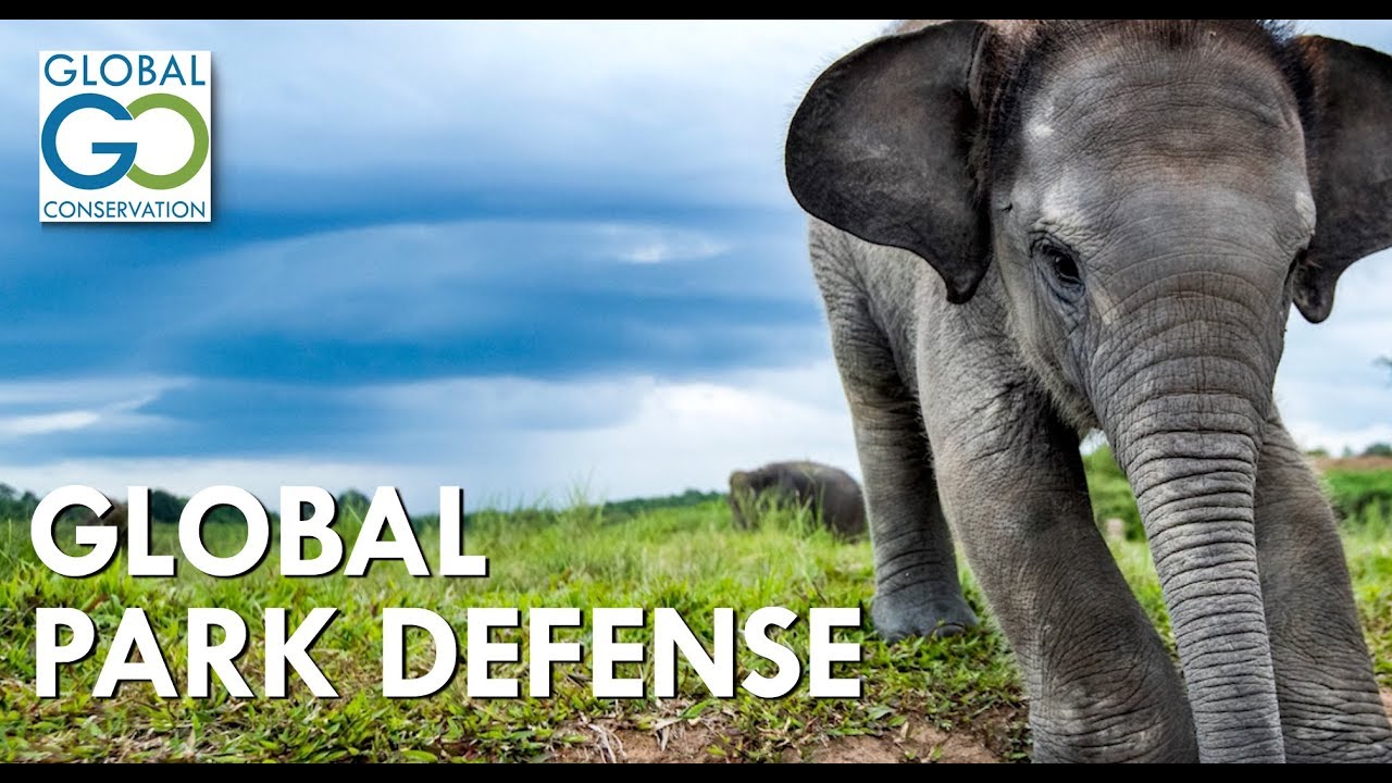 Global Conservation - Introduction