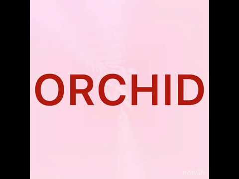 How to Pronounce “ORCHID”