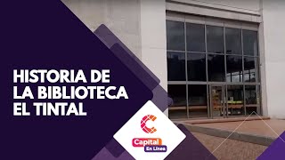 10 things to do in El Parque Nacional El Tintal (El Tintal National ...