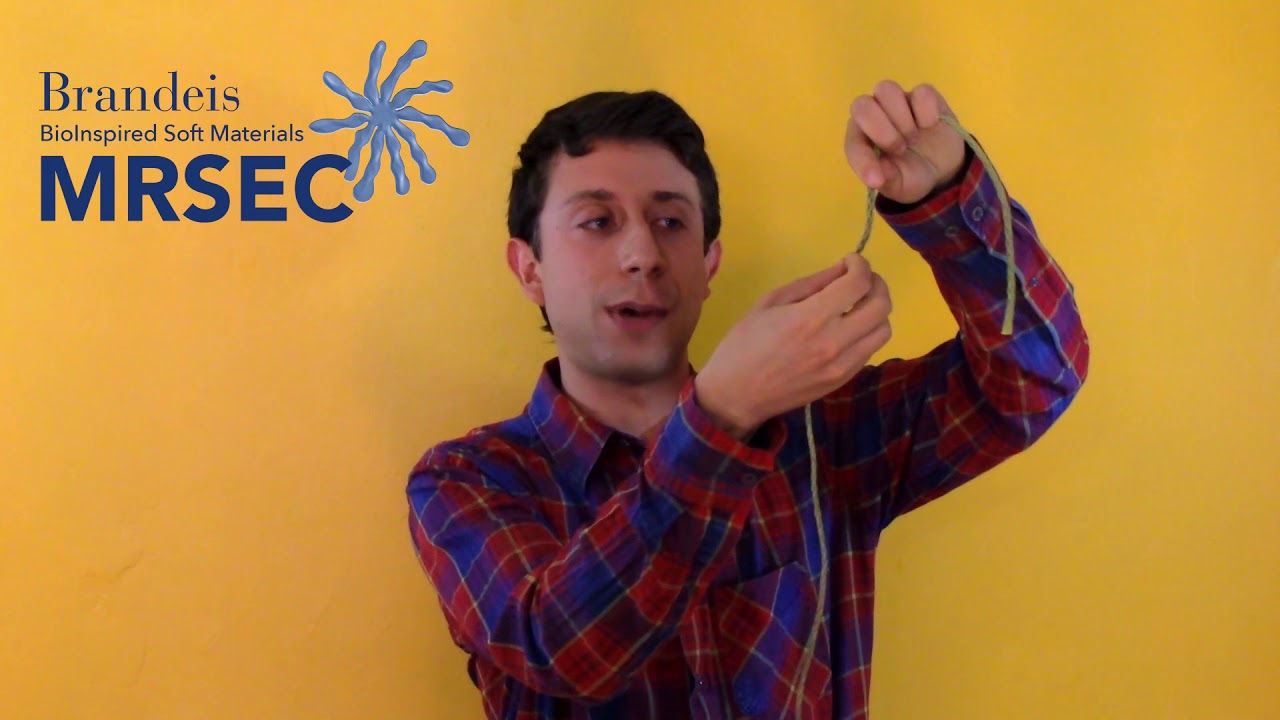 Computer Simulations of Chromosomes