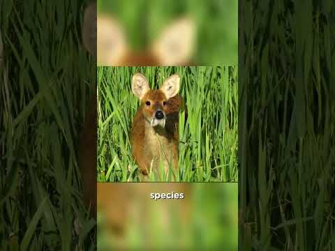 Rare Photos That You Never Seen Before Part 03