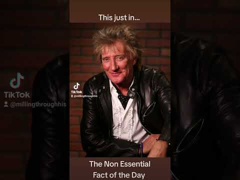 #rodstewart was born today in 1945 #history #facts #factsyoudontknow #music #foreveryoung #legend