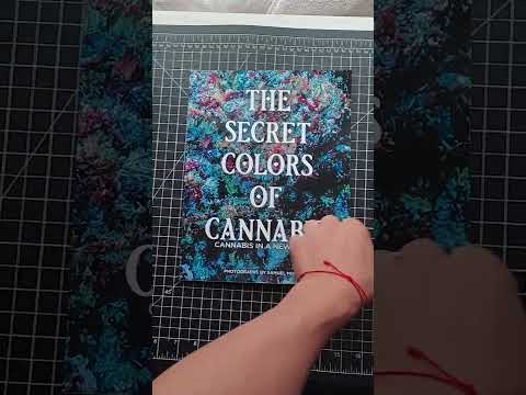 The Secret Colors of Cannabis | Documentary Photo Project