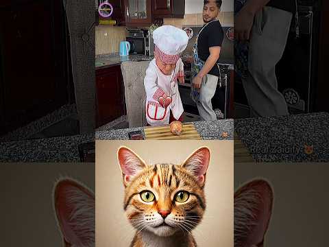 yo what are you doing π€£ #cat #meme #dance #trending