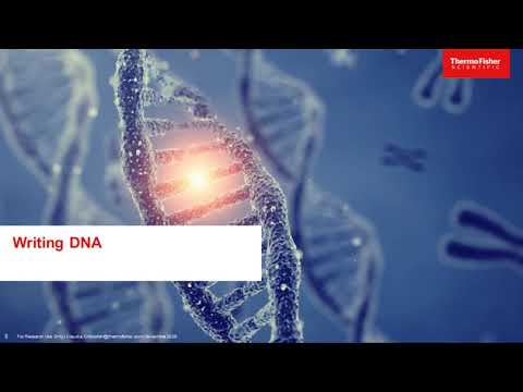Fast and reliable Gene Synthesis for optimized protein expression