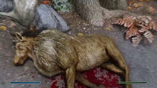 I'm The BIGGEST ASSHOLE ENJOYER In Skyrim at Skyrim Special Edition ...