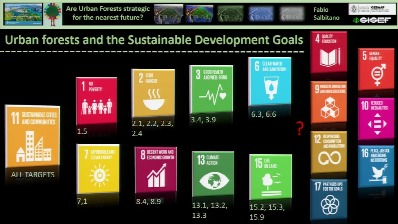 Urban and peri-urban forests and green spaces and the Sustainable Development Goals: A Tree Talk