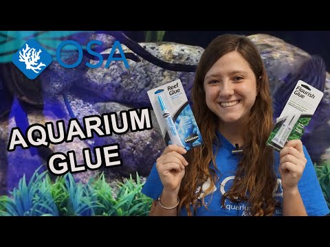 The BEST Aquarium GLUE for YOU!