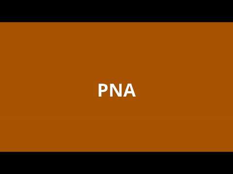 what is the meaning of PNA