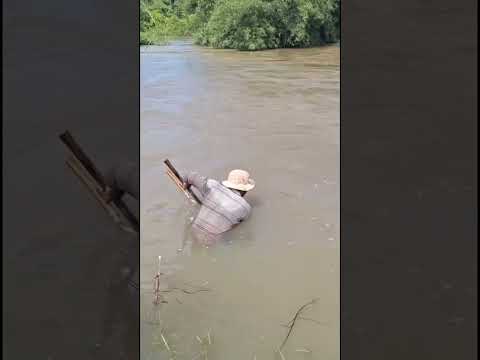A cast net fishing traditional trap in the village #shorts
