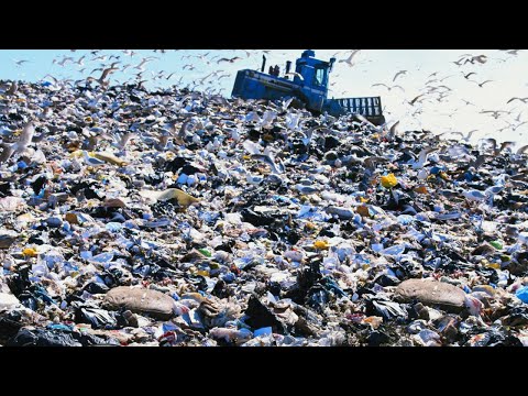 American Sign Language ASL Video Dictionary - dump