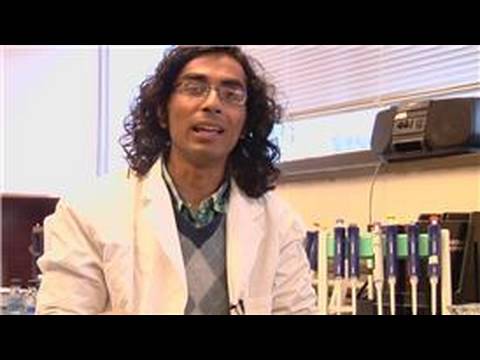 Genetic Engineering : The Purpose of Genetic Engineering in Plants