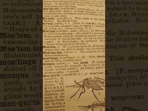 Webster International Dictionary 1890 - Published 1926
