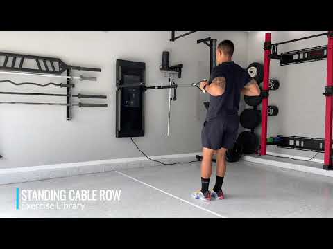 Standing Cable Row